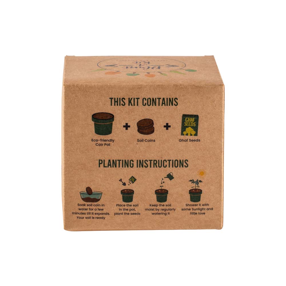 Plantable Kit with GHAF Seeds in Kraft Box | Promotional Gifts ...